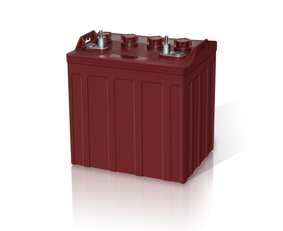 Leopard Golf Cart Batteries Maintenance Tutorial - Spaceflightpower